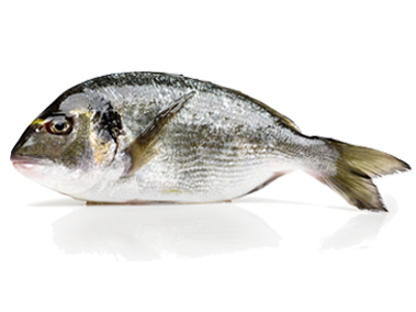 L’orata al forno – Geisha Gourmet